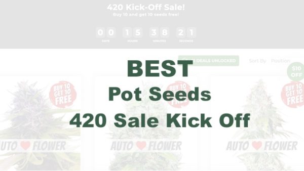 2023’s Best Pot Seeds: The Ultimate Guide to Finding Cheap Pot seeds ...