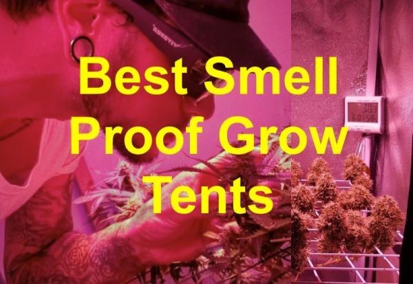 Best Smell Proof Grow Tents 2023: How to smell proof a grow box – 420BB ...