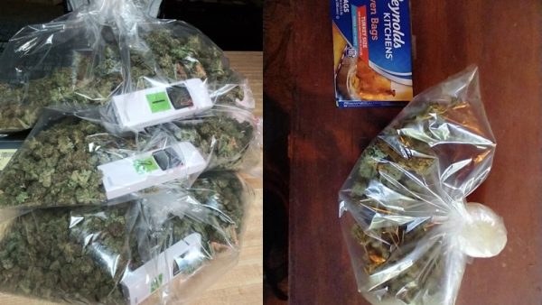 Turkey Bags for Curing Weed: Unveiling the Secrets of a Flavorful ...