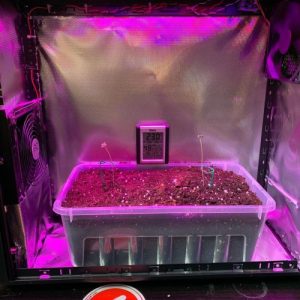20 Stealth Grow Box Ideas: Indoor And Outdoor Grow Ideas (Best Diy ...